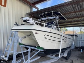 Leader cat for sale - Daily Boats