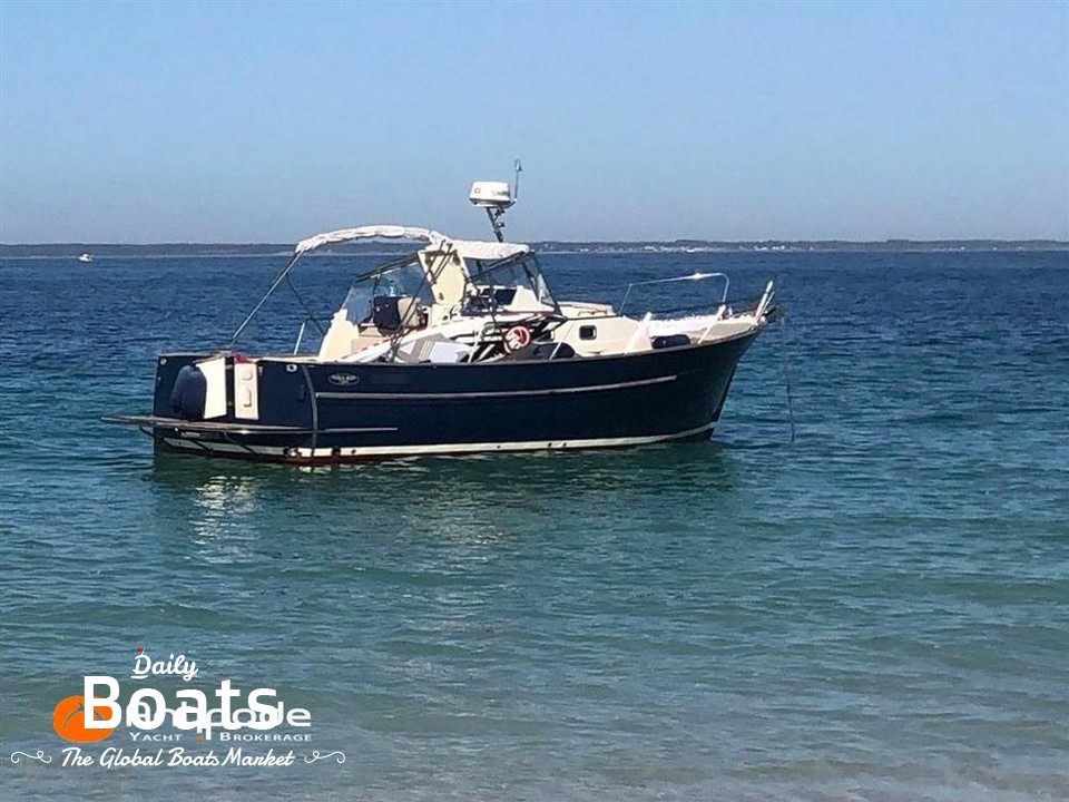 2017 Rhea Marine 850 Open for sale. View price, photos and Buy 2017 ...