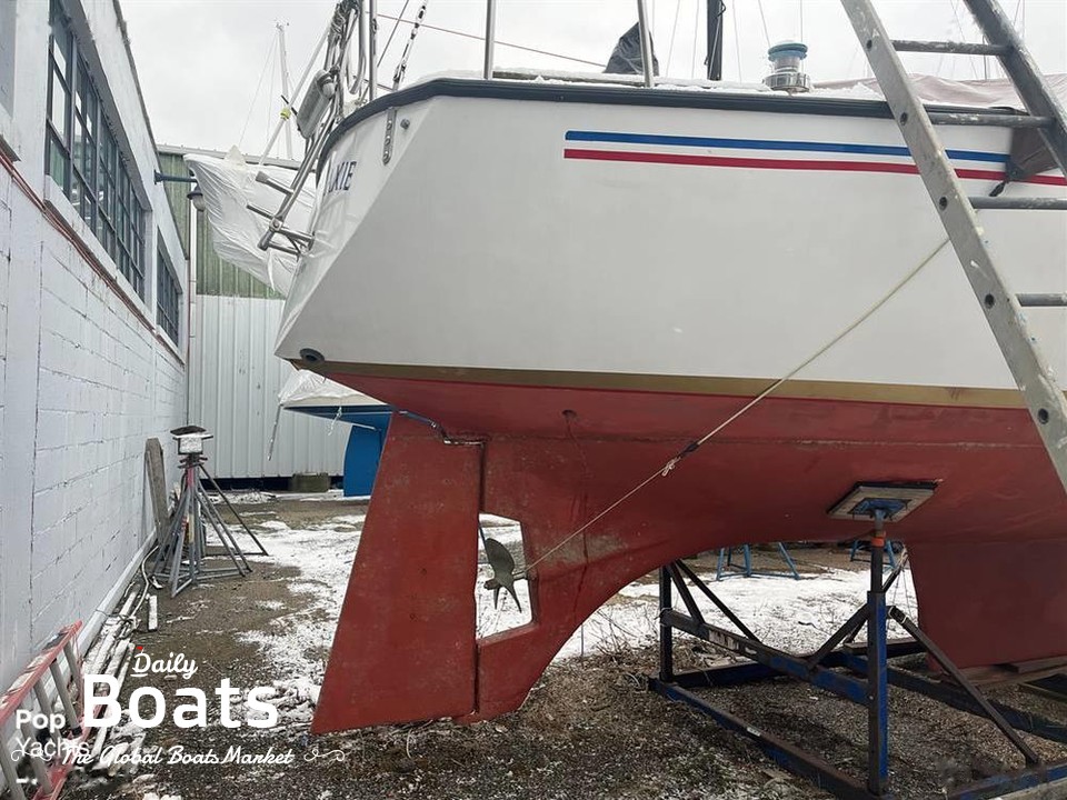 1981 Morgan 32 for sale. View price, photos and Buy 1981 Morgan 32 #401903