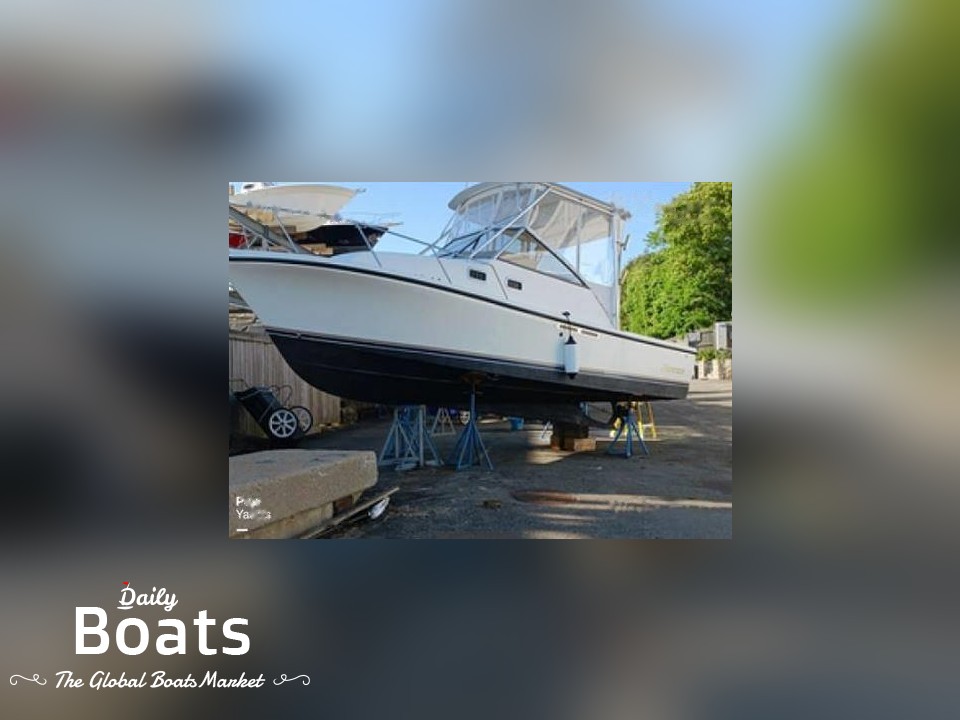 2001 Shamrock 260 Express for sale. View price, photos and Buy 2001 ...