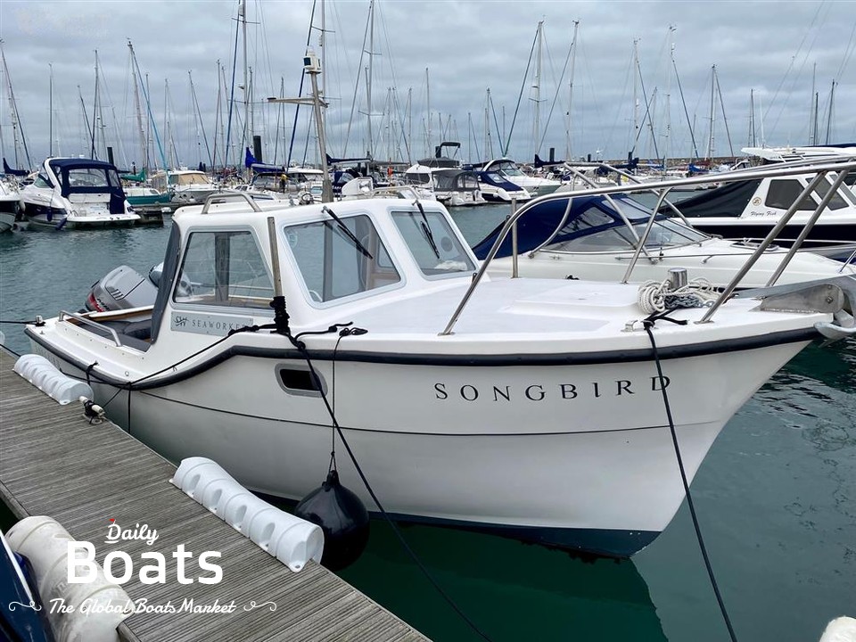 2020 Colvic Craft Seaworker 22 for sale. View price, photos and Buy ...