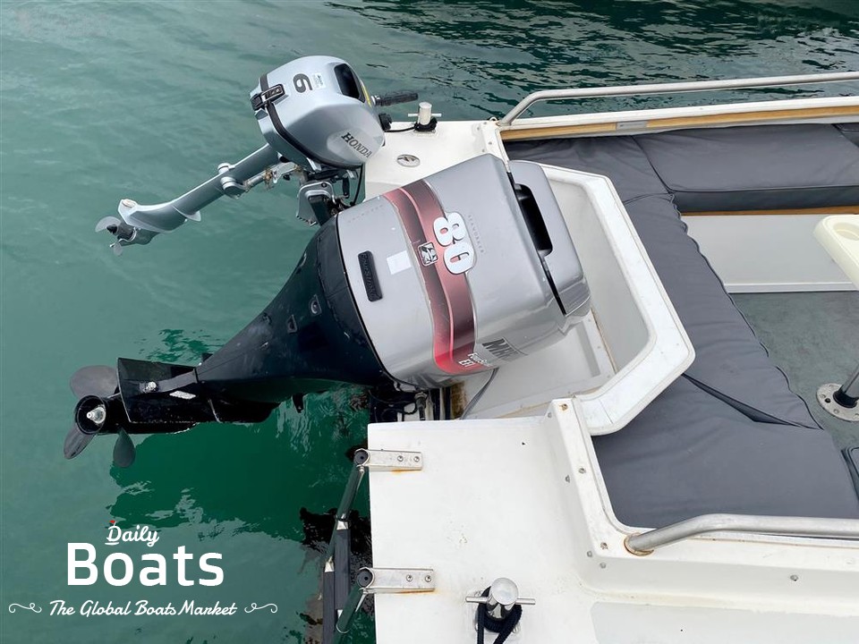 2020 Colvic Craft Seaworker 22 for sale. View price, photos and Buy ...