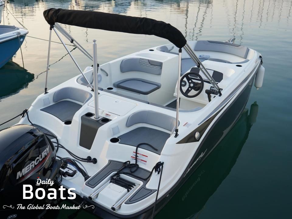 2023 Bayliner Element M17 for sale. View price, photos and Buy 2023 ...