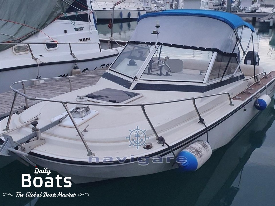 1982 Boston Whaler 20 Revenge for sale. View price, photos and Buy 1982 ...