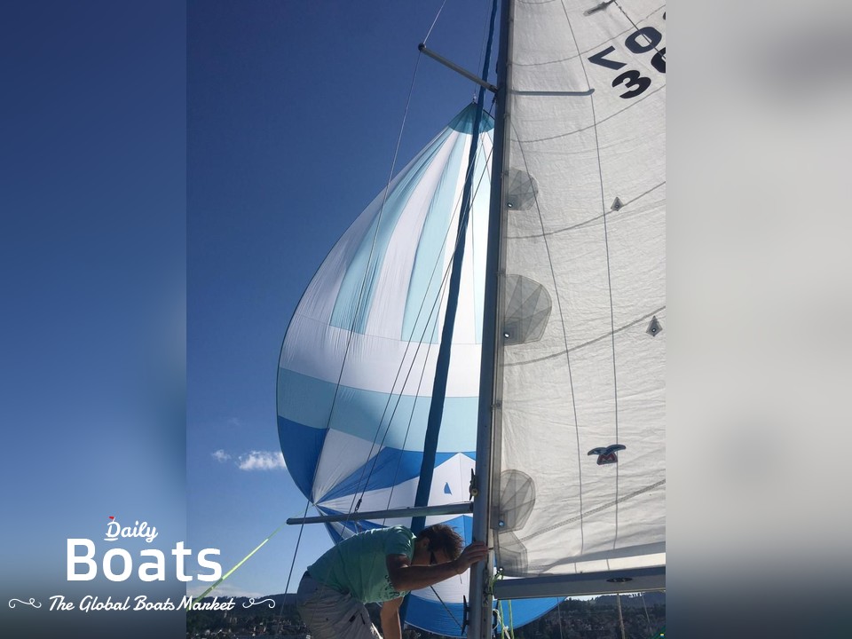 1988 Schöchl Sunbeam 25 Segelyacht for sale. View price, photos and Buy ...