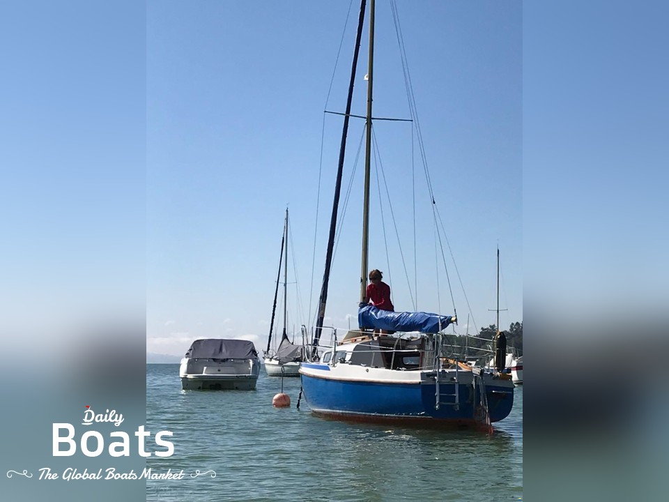 1973 Neptun Werft Rostock 22 Ks for sale. View price, photos and Buy ...