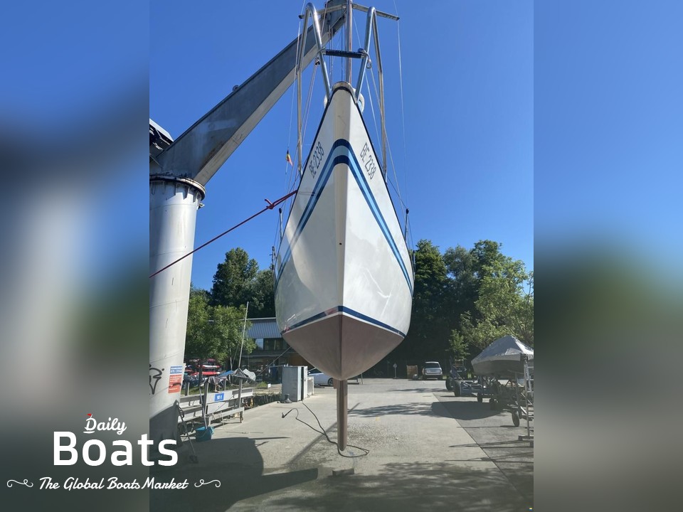 1981 Bianca Yachts Aphrodite 101 for sale. View price, photos and Buy ...