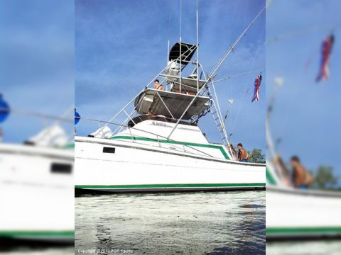 1983 Topaz 38Express for sale. View price, photos and Buy 1983 Topaz ...