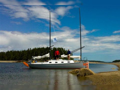 2010 Presto 30 for sale. View price, photos and Buy 2010 Presto 30 #41450