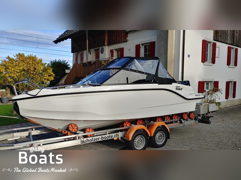 Silver Puma Br for sale. View price, photos and Buy Silver Puma Br #415339