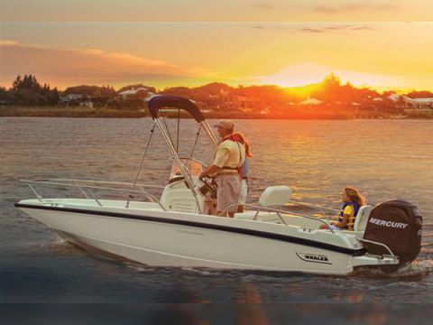 2013 Boston Whaler 17 Dauntless for sale. View price, photos and Buy 2013 Boston Whaler 17 ...