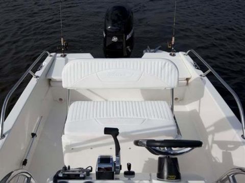 2013 Boston Whaler 17 Dauntless for sale. View price, photos and Buy ...