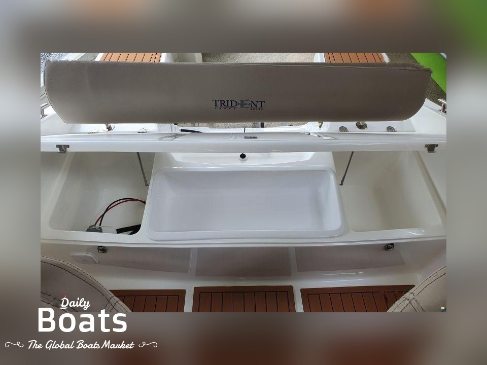 Trident 530 Sport for sale. View price, photos and Buy Trident 530 ...