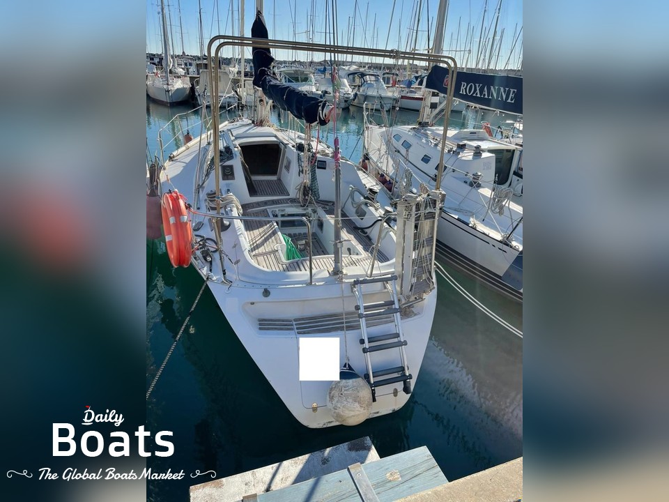 1984 Barberis Show 36 for sale. View price, photos and Buy 1984 Barberis Show 36 #416505