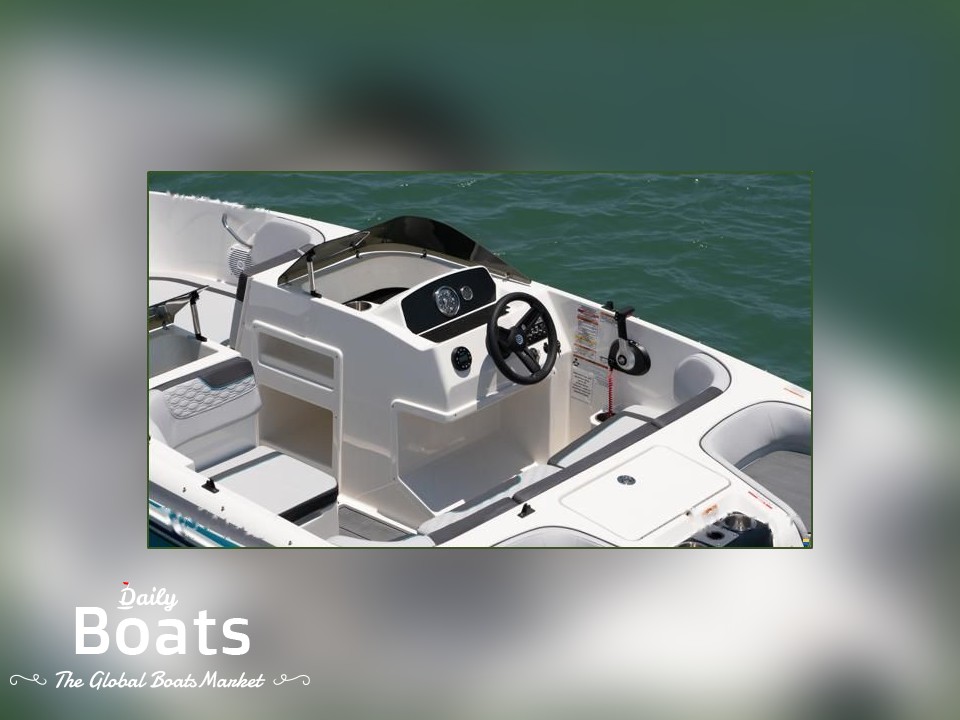 2023 Bayliner Element M17 for sale. View price, photos and Buy 2023 ...