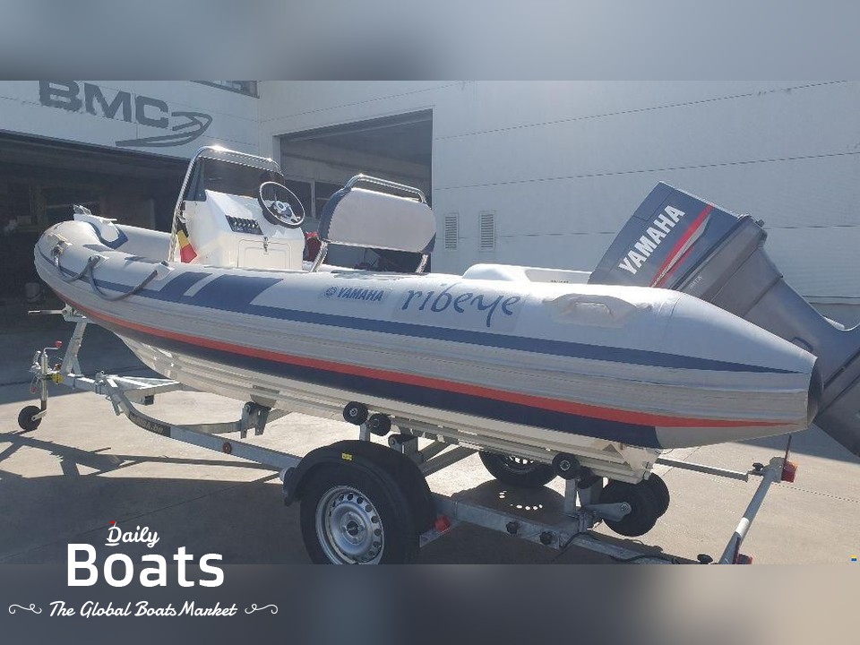 2002 Ribeye Playtime 550 for sale. View price, photos and Buy 2002 ...