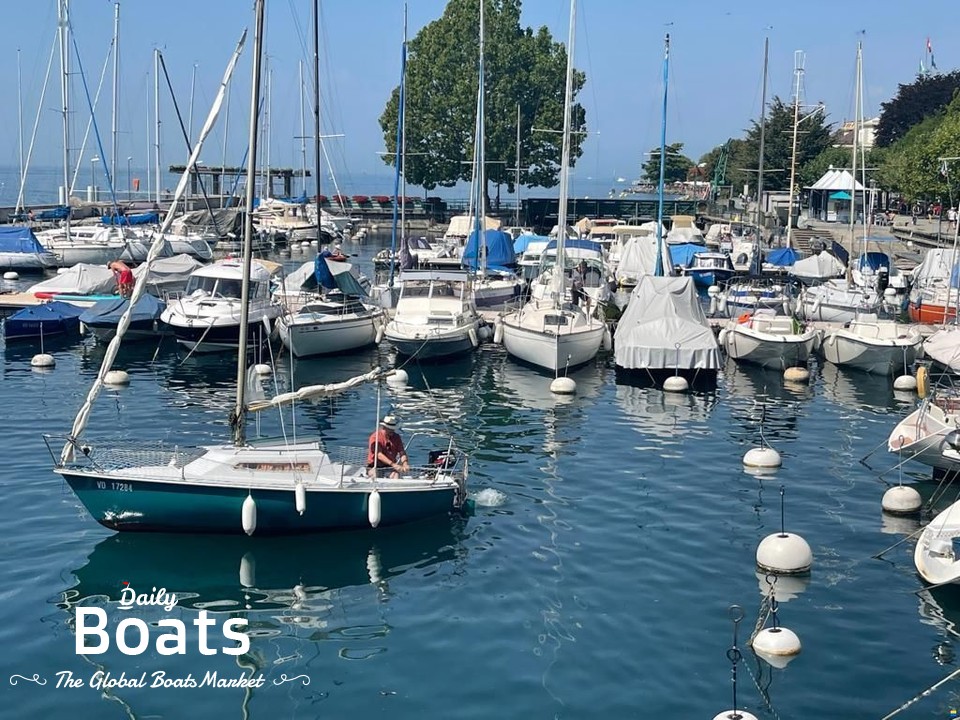 Edel 5 for sale. View price, photos and Buy Edel 5 #417396