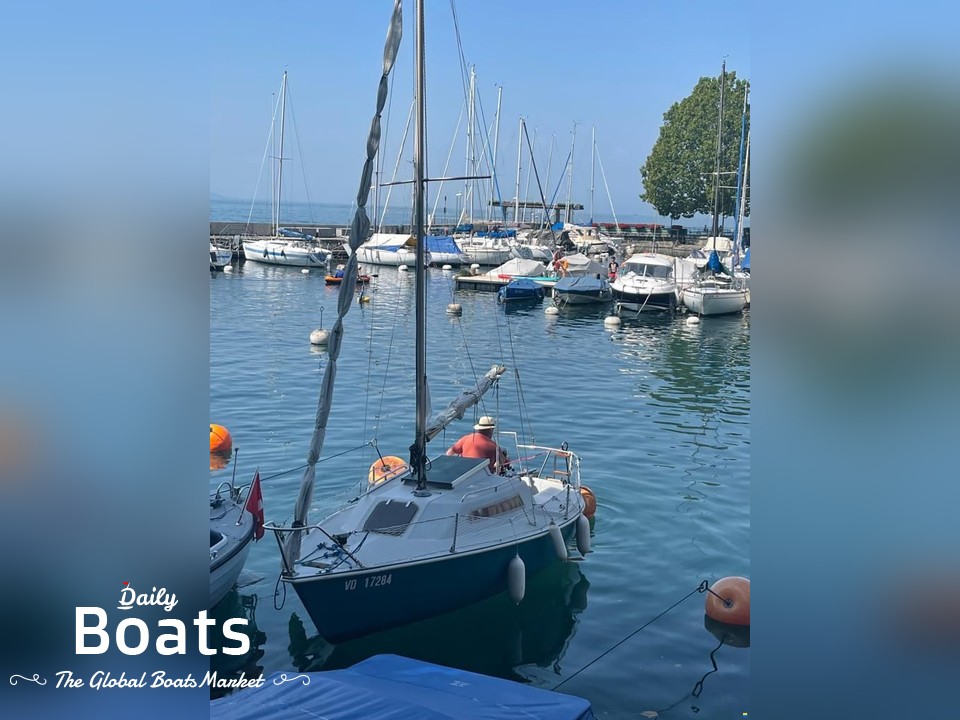 Edel 5 for sale. View price, photos and Buy Edel 5 #417396