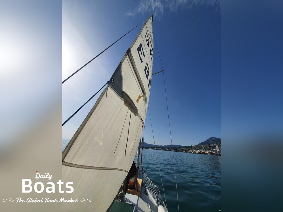 Edel 5 for sale. View price, photos and Buy Edel 5 #417396