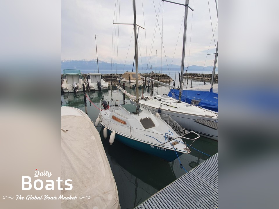 Edel 5 for sale. View price, photos and Buy Edel 5 #417396