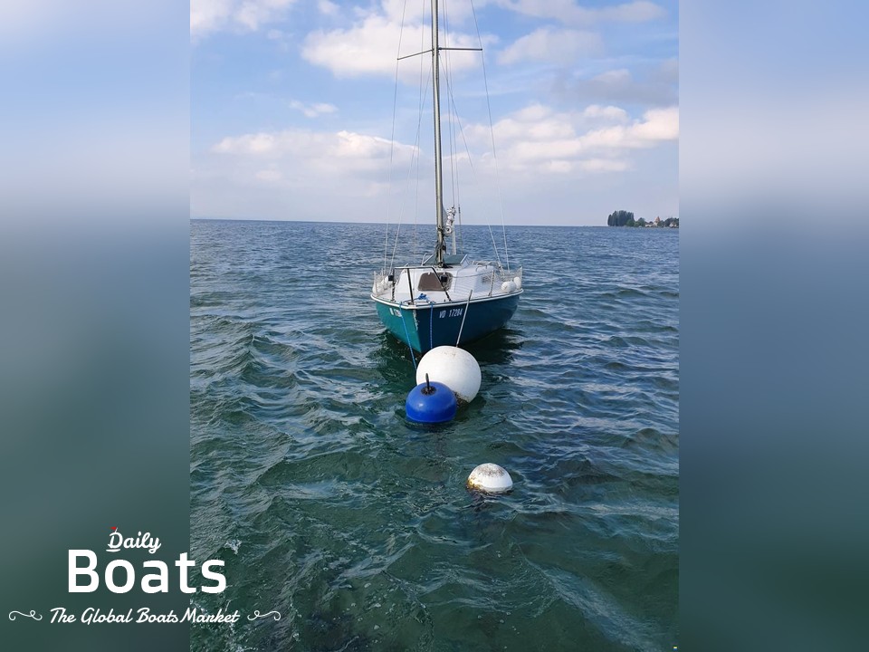 Edel 5 for sale. View price, photos and Buy Edel 5 #417396