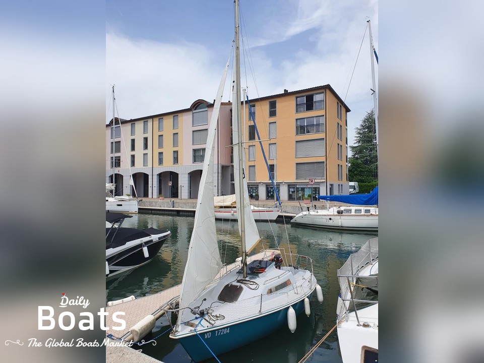 Edel 5 for sale. View price, photos and Buy Edel 5 #417396