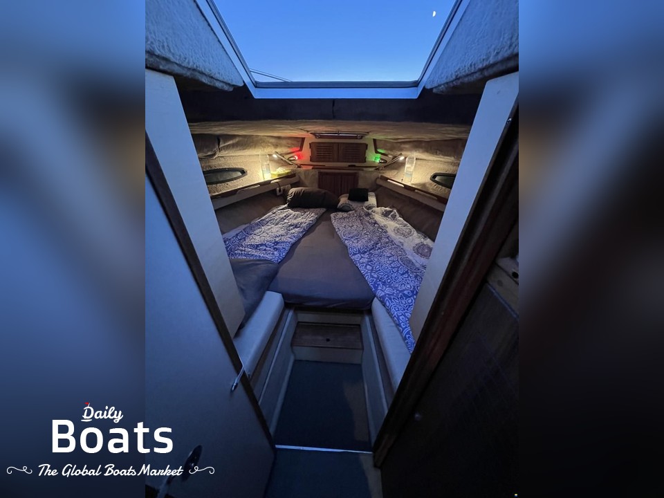 1977 Sea Ray 300 Sedan Long Bridge for sale. View price, photos and Buy ...