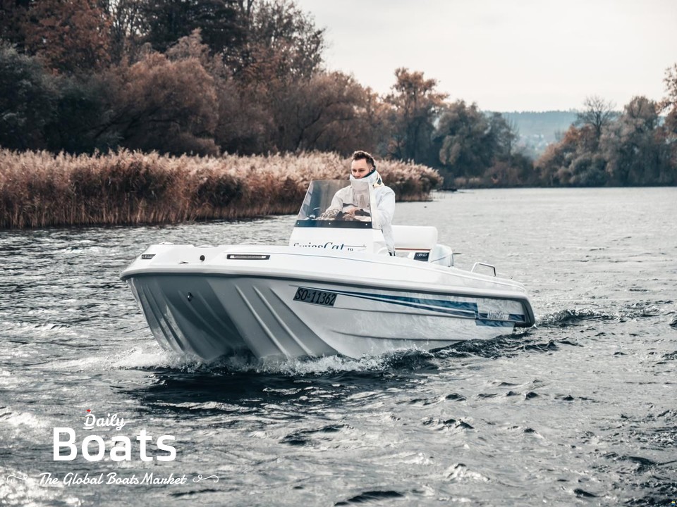 2019 Swiss Cat 19 Deluxe for sale. View price, photos and Buy 2019 ...