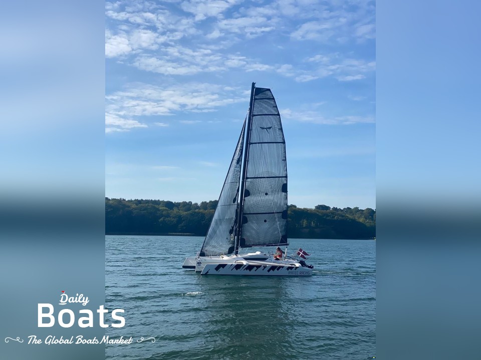 Trimarans à moteur Dragonfly 25 D'occasion à vendre - Daily Boats