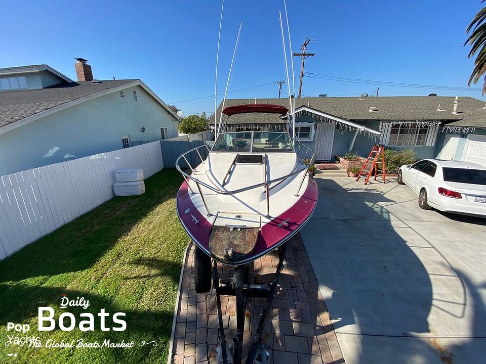 1987 Sea Ray 250 Sundancer for sale. View price, photos and Buy 1987 ...