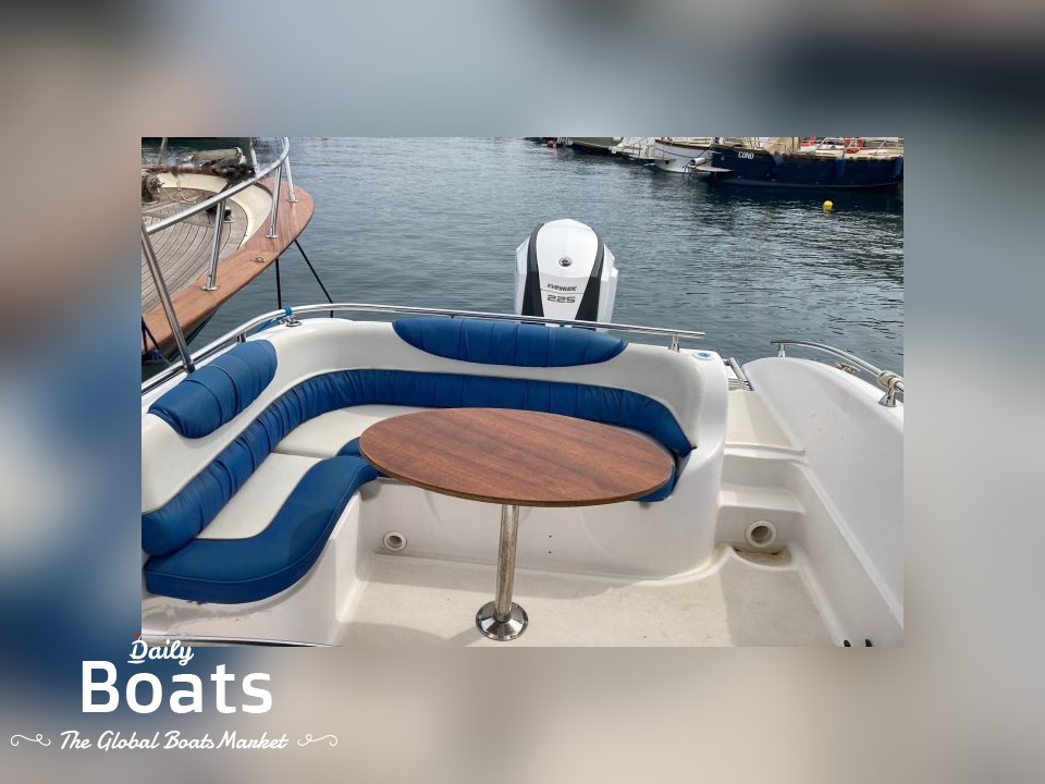 2007 Ranieri International 24 Sea Lady for sale. View price, photos and ...