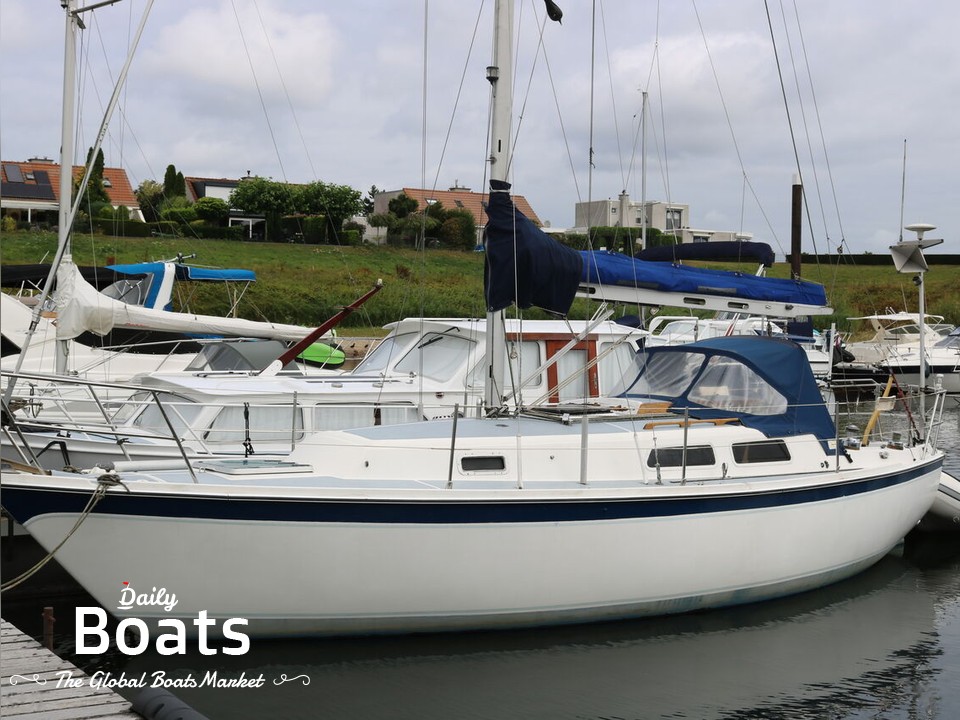 2017 Cal 31 for sale. View price, photos and Buy 2017 Cal 31 #421350