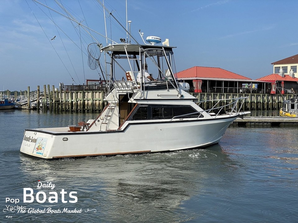 1988 Innovator 31 Sportfish for sale. View price, photos and Buy 1988 ...