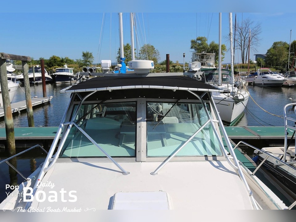 1990 North-Line Yachts Coast 31 Express for sale. View price, photos ...