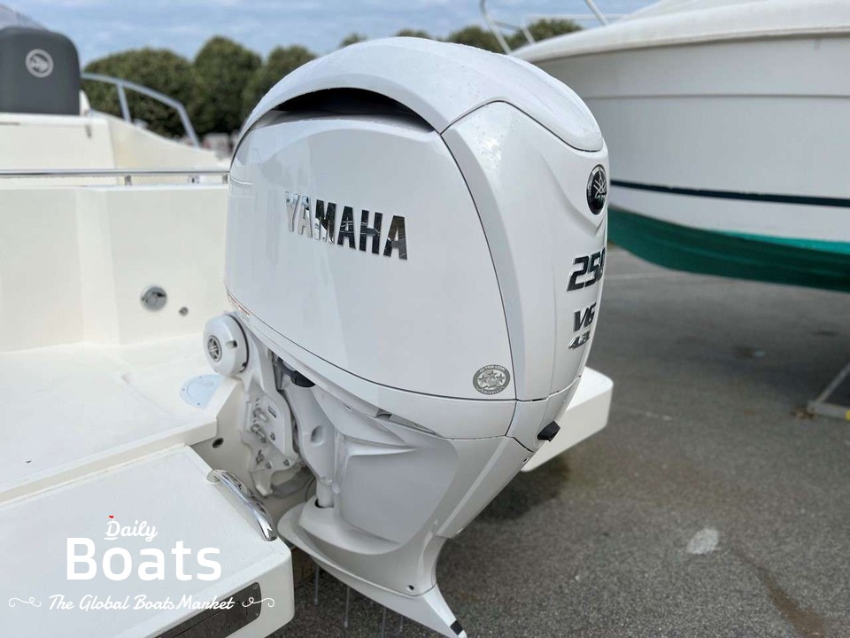 2022 White Shark / Kelt 240 Sc Evo for sale. View price, photos and Buy ...