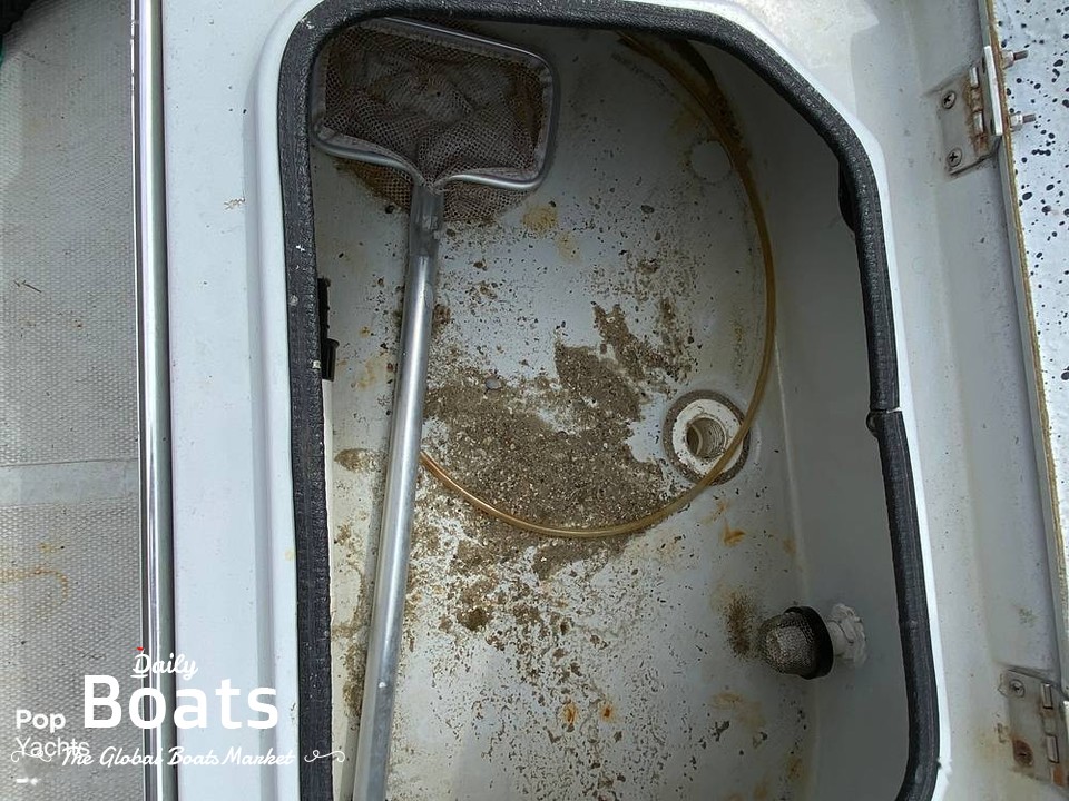 2005 SCB F-22 for sale. View price, photos and Buy 2005 SCB F-22 #426212