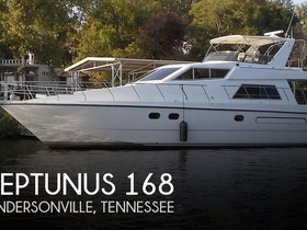 Neptunus 168 for sale - Daily Boats