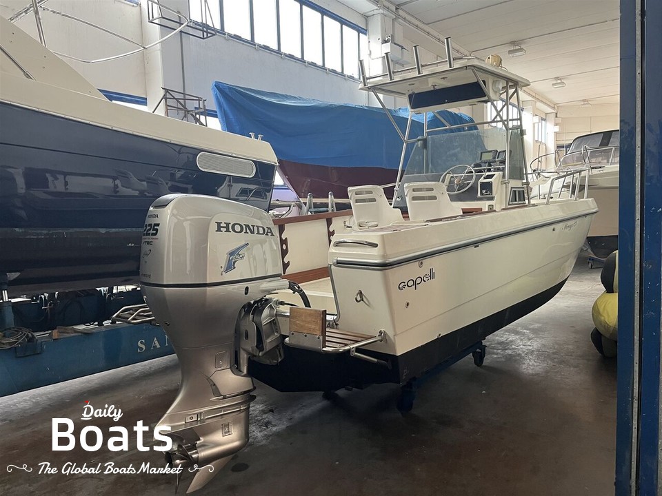 1991 Capelli Mirage 24 for sale. View price, photos and Buy 1991 ...