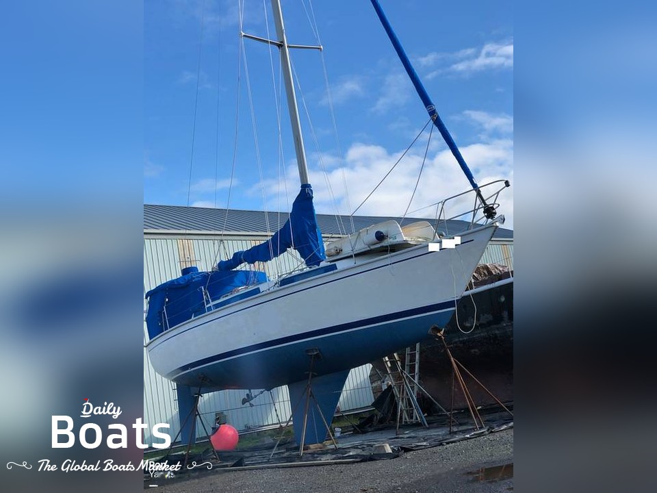 1985 Pearson 36 for sale. View price, photos and Buy 1985 Pearson 36 ...