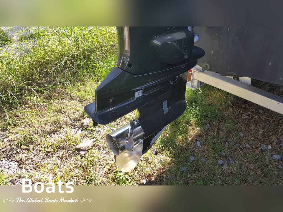 2008 Pro Sports Prokat 2200 Cc for sale. View price, photos and Buy ...