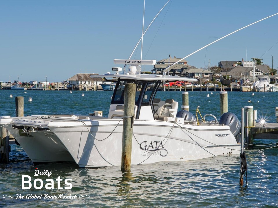 2021 World Cat for sale. View price, photos and Buy 2021 World Cat #433943