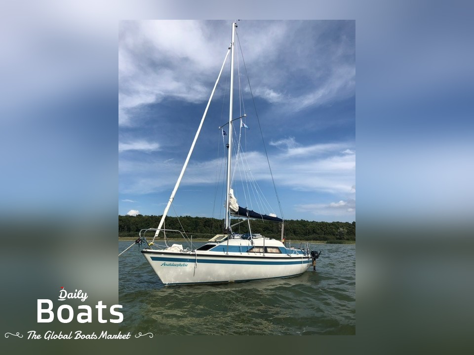 2019 Ypton 22 for sale. View price, photos and Buy 2019 Ypton 22 #434343