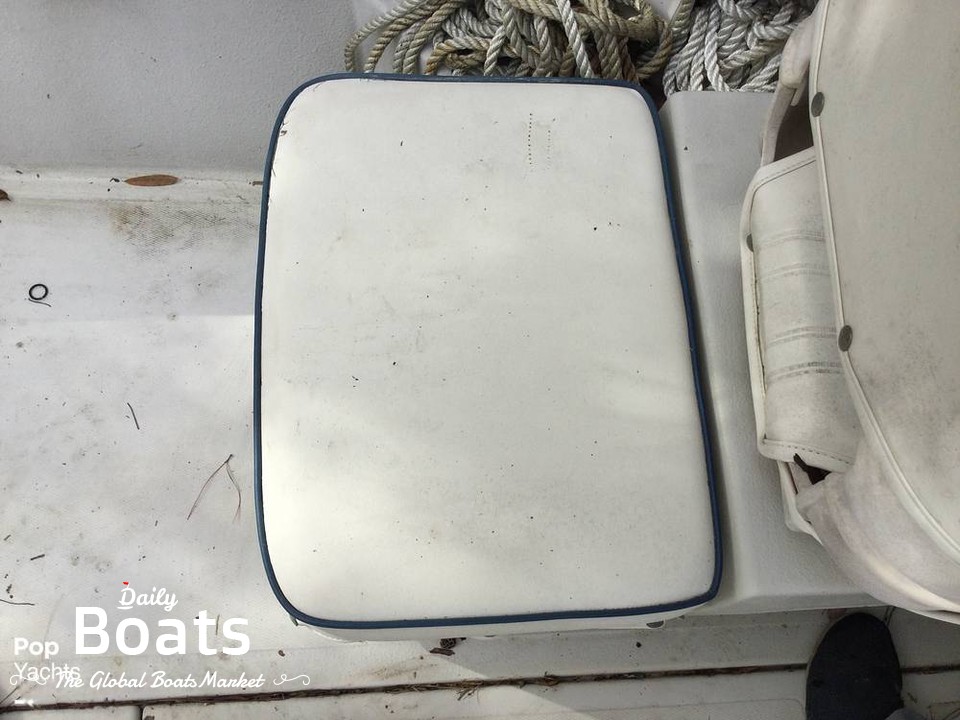 1999 SeaRanger Yachts Arima 19 for sale. View price, photos and Buy ...