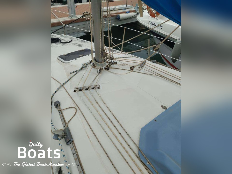 2003 Talinco Composites Monotype for sale. View price, photos and Buy ...