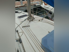 2003 Talinco Composites Monotype for sale. View price, photos and Buy ...