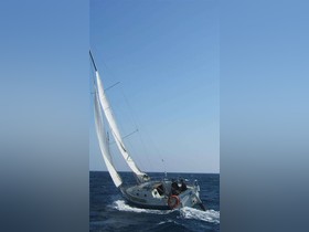 2003 Talinco Composites Monotype for sale. View price, photos and Buy ...