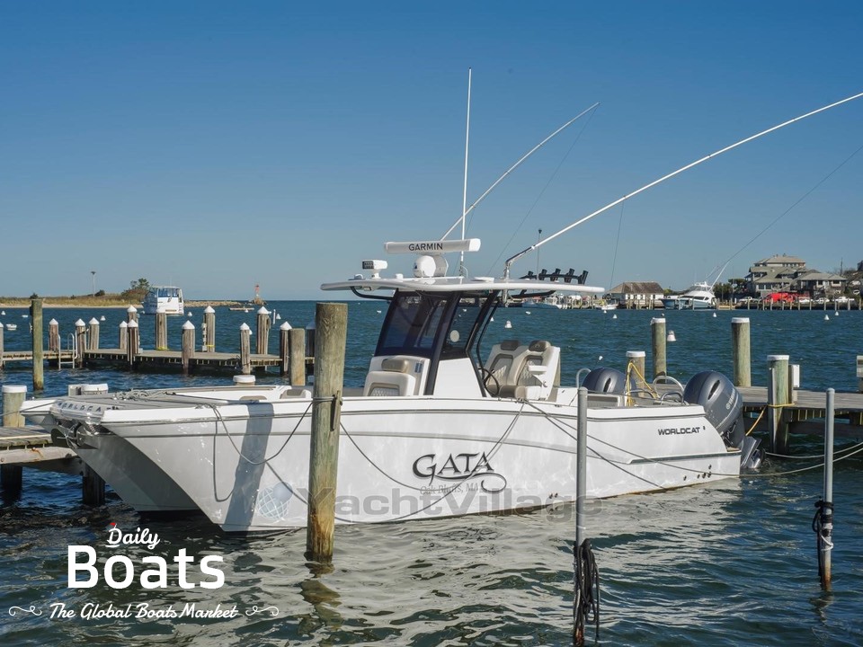 2021 World Cat for sale. View price, photos and Buy 2021 World Cat #439994