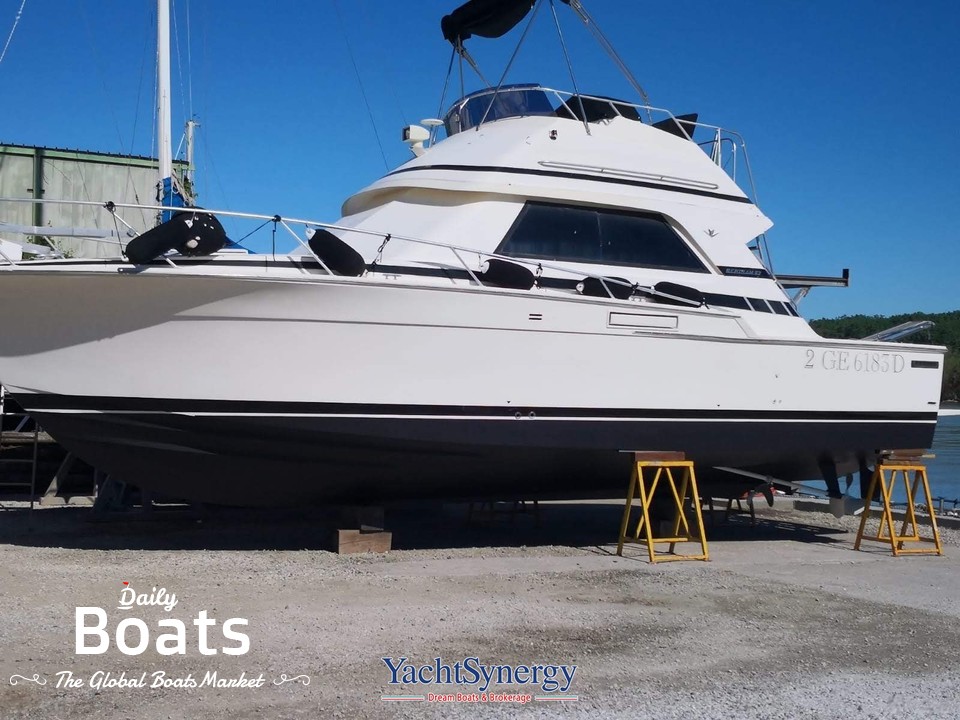 1986 Bertram Yacht 37' Sf for sale. View price, photos and Buy 1986 ...