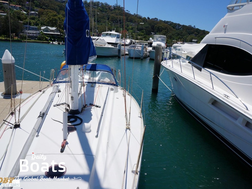 1982 Cole 31 for sale. View price, photos and Buy 1982 Cole 31 #447437