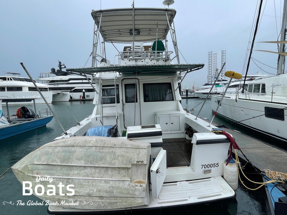 1996 Phoenix 38 Sfx Convertible for sale. View price, photos and Buy ...